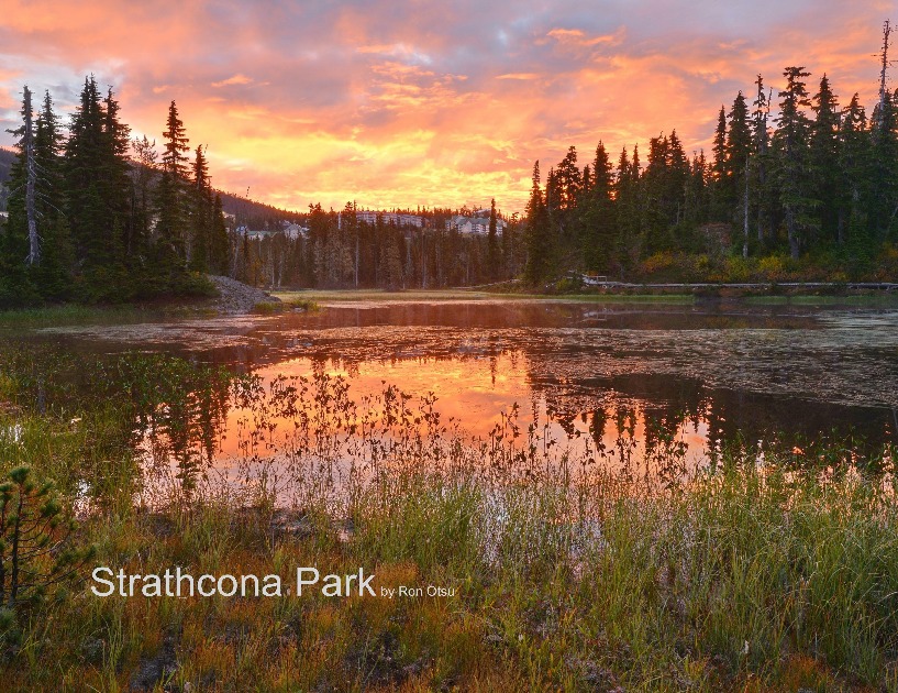 Strathcona Park - Designer - PrestoPhoto