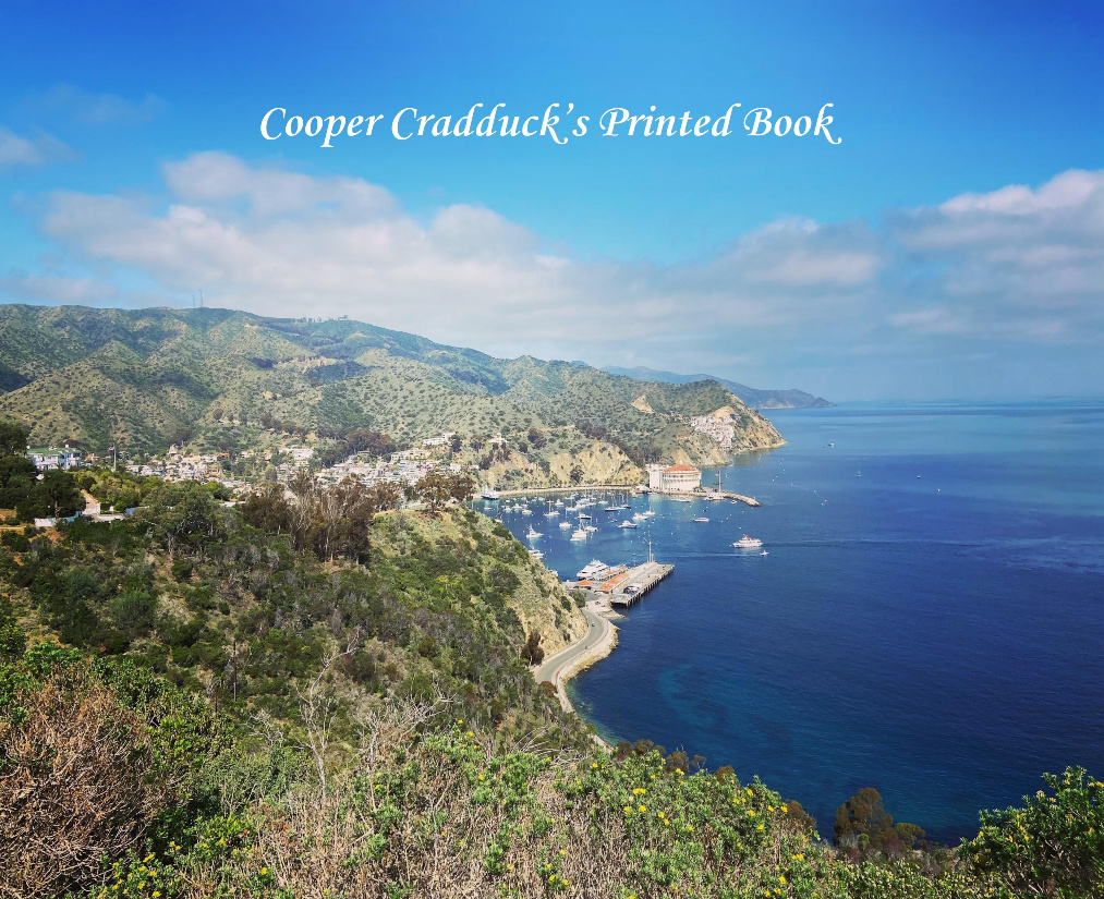 Final Project Photography - Cooper Cradduck - Google - PrestoPhoto