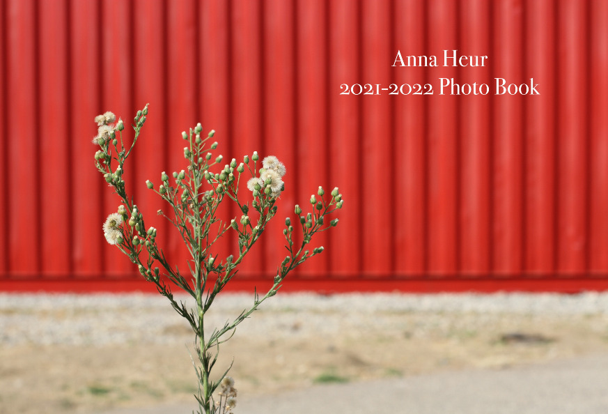 Final Printed Book - Designer - PrestoPhoto