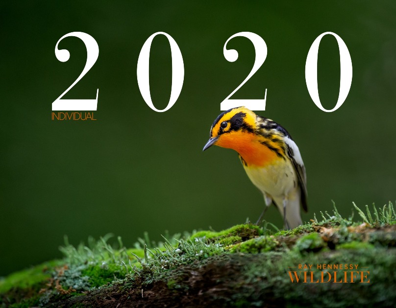 2020 Calendar - Individual - Designer Photo Calendar - PrestoPhoto