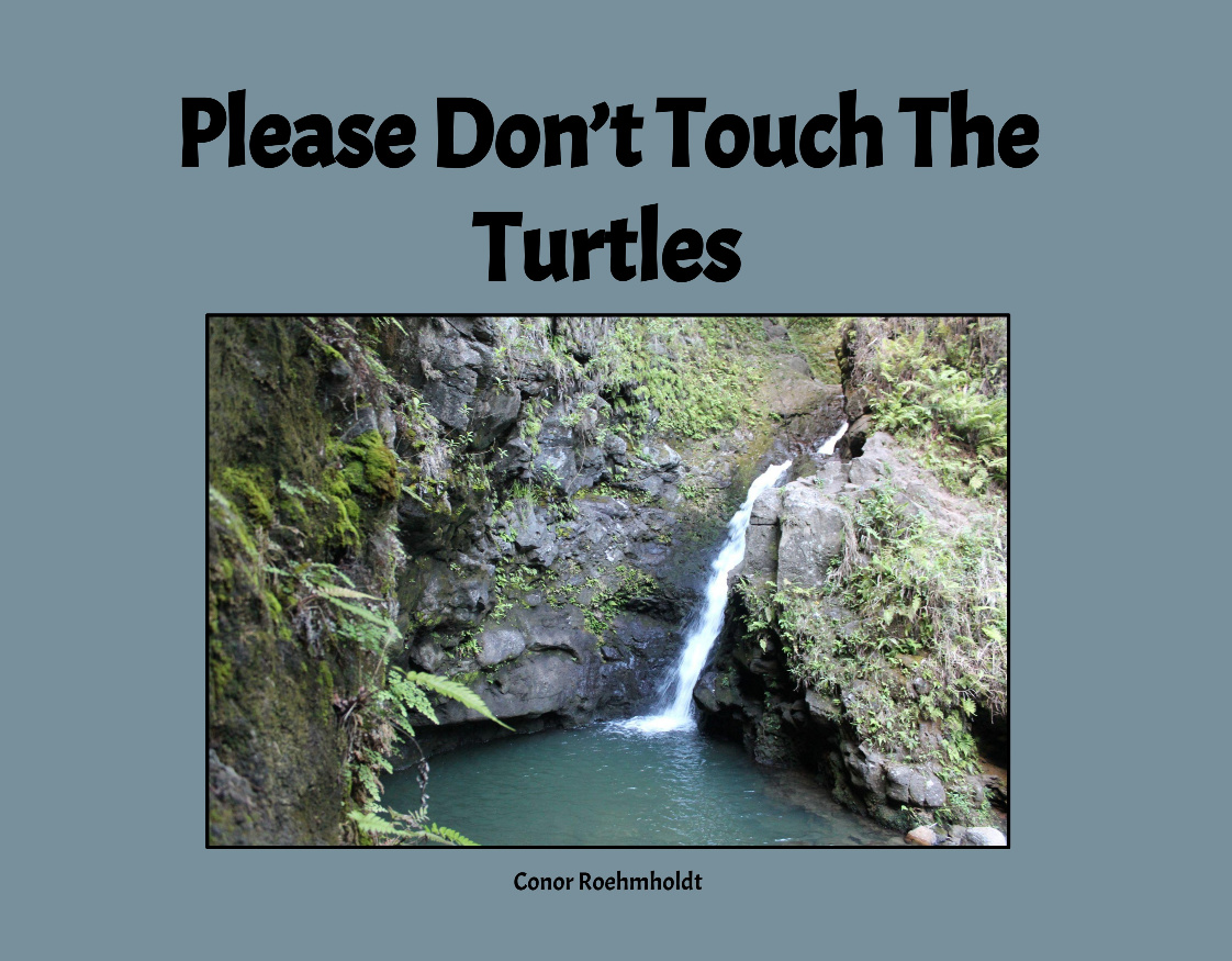 Please Don't Touch The Turtles - PDFium - PrestoPhoto