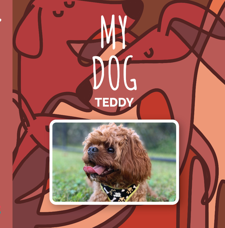 My pet's story book Taddy - Adobe InDesign - PrestoPhoto