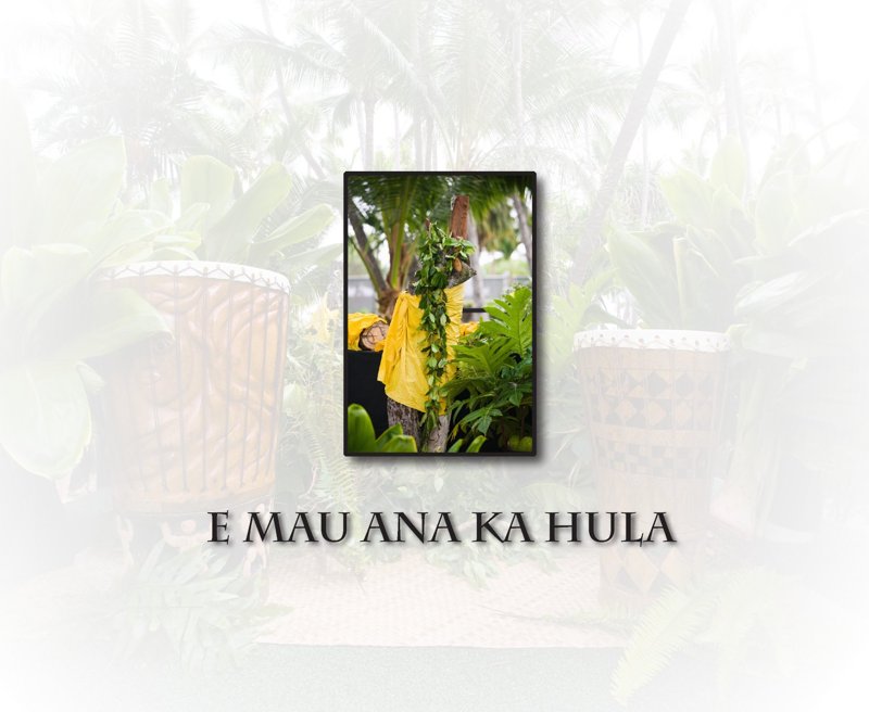 E Mau Ana Ka Hula November 2008 - Photo Book - PrestoPhoto
